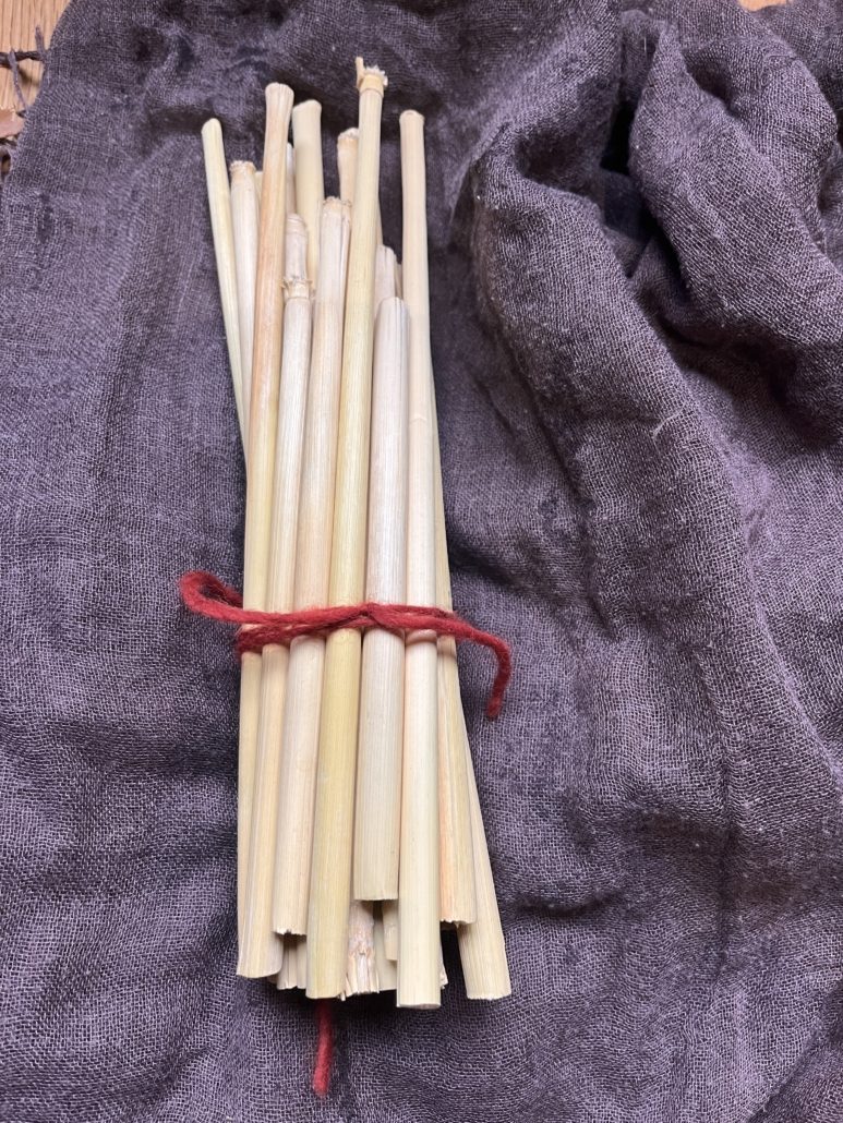 Broomcorn Stalks - Rhythm and Ritual Craft